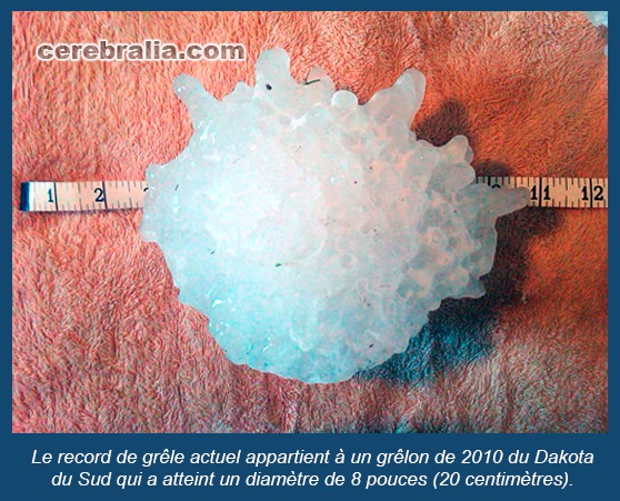 COMMENT SE FORME LA GRÊLE ? 】 ️