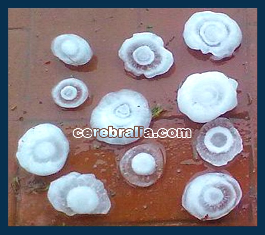 COMMENT SE FORME LA GRÊLE ? 】 ️